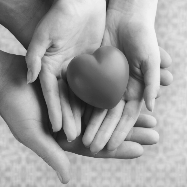 Insurance Agency Pembroke, NC | Free Quotes!